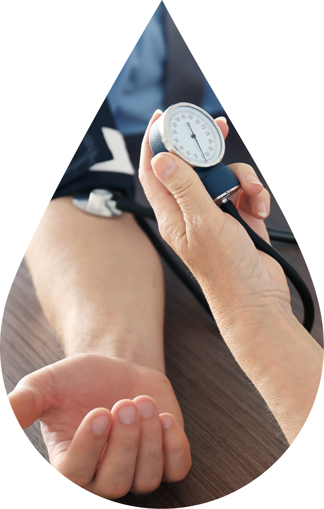 Formule & Pression sanguine - Laboratoire Catalyons